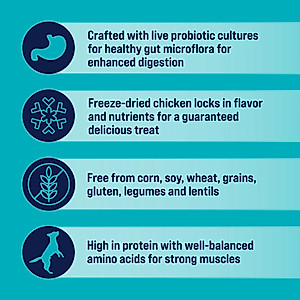 Stewart Freeze Dried Dog Treats, Healthy Gut Chicken & Vegetable, Gut Health Probiotics, Grain Free, 8 Ounce Resealable Pouch, Made in USA