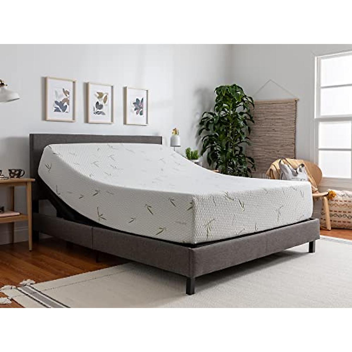 Tulo 12" Medium-Plush Memory Foam Bamboo Pressure Relief Mattress in a Box | Queen Size