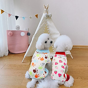 Rypet Small Dog Pajamas 2 Pack - Cute Cat Pajamas Onesie Soft Puppy Rompers Pet Jumpsuits Cozy Bodysuits for Small Dogs and Cats（Blue + Red）