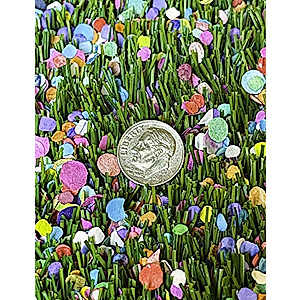 Festive Mexican Confetti Bag- 1.2lbs/544gr. Bulk Bag, Perfect for Birthday Parties, Pinata filler, Easter Eggs (cascarones), Wedding Toss, Fiesta Party Decor, Cinco de Mayo and much more! – by MyParty