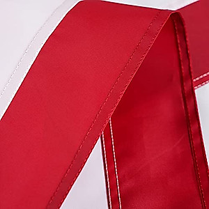 ROTERDON American Flag 4x6 FT Outdoor - Made in USA, USA Heavy Duty Nylon US Flags with Luxury Embroidered Stars, Sewn Stripes and 2 Brass Grommets