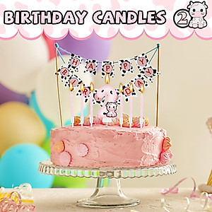 MTLEE Number 2 Pink Cow Glitter Birthday Candles Sparklers Pink Glitter Happy Birthday Number Candles Number Birthday Cake Topper with 10 Long Thin Cupcake Candle for Party Farm Birthday Decorations