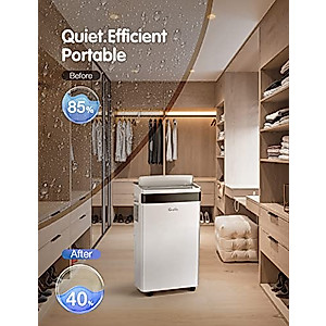 Dehumidifiers for Home and Basement, Grelife 4,500 Sq. Ft 50 Pint Dehumidifier with Drain Hose, 3 Modes, Child Lock, 24H Timer,Defrost,Dry clothes,Easy-to-clean filter,for Large Room, Bedroom,bathroom