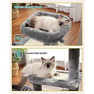 PETEPELA Cat Tree for Small Indoor Cats, Plush Cat Tower with Large Cat Condo, Deep Hammock and Sisal Cat Scratching Post for Kittens