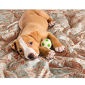 Comfort Spaces Bed in A Bag - Trendy Casual Design Cozy Comforter with Complete Sheet Set with Side Pocket, All Season Cover, Matching Shams, Twin(66"x90"), Gloria, Damask Coral 6 Piece