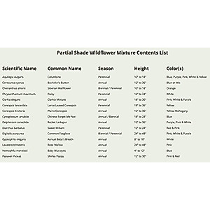 Seed Needs, 2.1 oz Bulk Package - 30,000 Seeds Partial Shade Butterfly Attracting Wildflower Mixture (99% Pure Live Seed - NO Filler) Annual Perennial Biennial