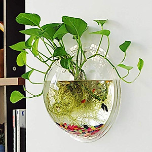 DAMEING Wall Hanging Fish Tank, Acrylic Round Wall Mounted Hanging Fish Bowl Aquarium Tank, Gold Fish and Beta Fish Plant Vase Home Decoration Pot, Transparent (15x15CM)