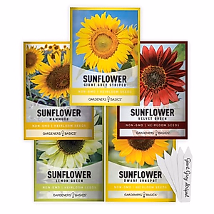 Sunflower Seeds for Planting Flowers (5 Pack Mix) - Velvet Queen, Dwarf Sunspot, Lemon Queen, Giant and Mammoth Bulk Mix of Regular Sunflower Seeds for Outdoor Flower Garden by Gardners Basics