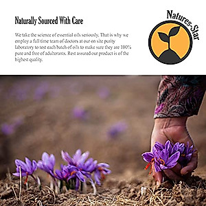 Natures-Star 16oz - Bulk Size Peppermint Essential Oil (16 Ounce Total) - Therapeutic Grade Essential Oil - Therapeutic Grade Peppermint Oil for Diffuser - Mint Essential Oil for Candle Making