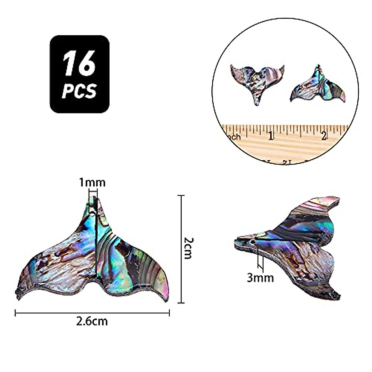 BENECREAT 16PCS Natural Abalone Shell Fishtail Abalone Shell Beads with Storage Containers for DIY Jewelry Making