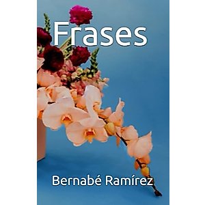 Frases (Spanish Edition)
