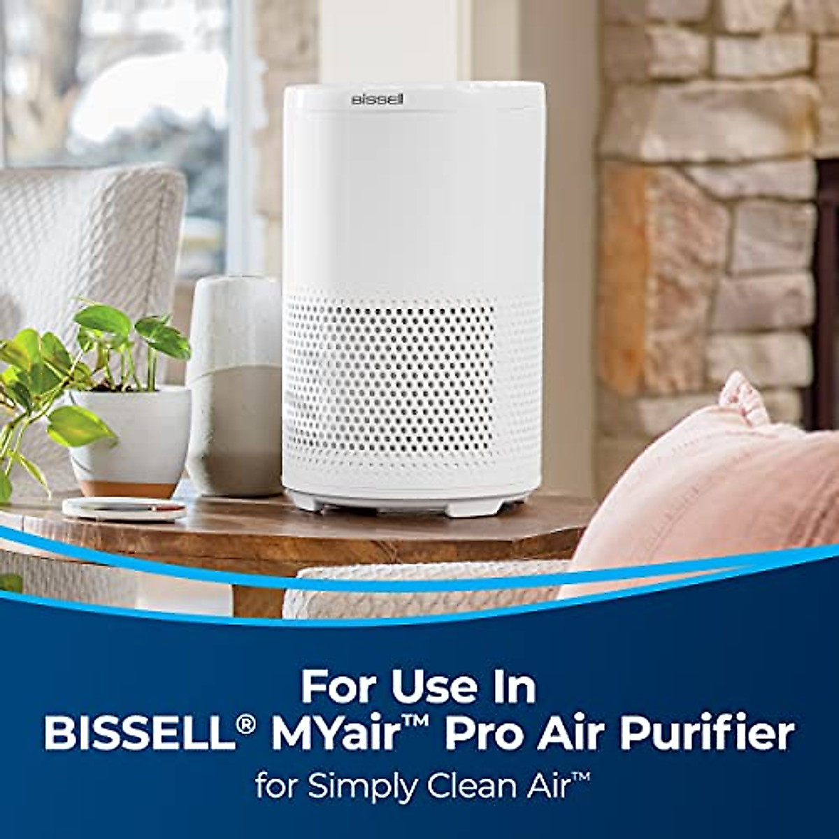 BISSELL® MYair™ Pro Replacement HEPA and Carbon Filter, 3069