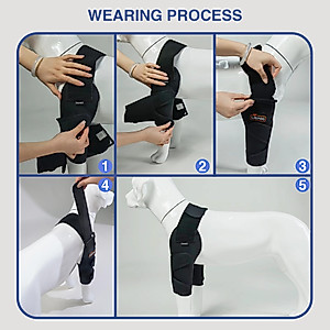 Hilltown Dog Elbow Brace for Shoulder & Front Leg, Canine Elbow Wrap for Shoulder Dislocation, Pressure Sores, Elbow Injury and Loss of Stability from Arthritis (XL, Both Legs)