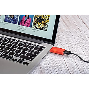 iFi iDefender+ USB Audio Ground Loop Eliminator (Type A > A) 5V