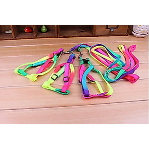 yueton Dog Pet Puppy Cat Kitty Adjustable Nylon Leash Rainbow Dog Chest Straps Chain Seven Color Traction Thoracic Dorsal Suits Dog Rope Dog's Leash Chain