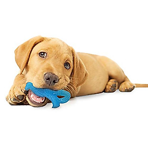 Nylabone Puppy Starter Kit with Chew Toys - Puppy Toys and Chew Treat Bundle - Puppy Supplies - Chicken and Bacon Flavors, Small/Regular (6 Count)