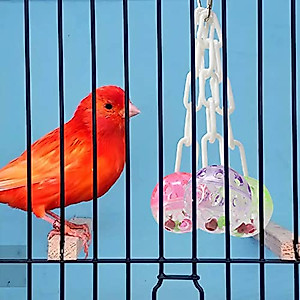 angel3292 Parrot Toy Colorful Bell Ball Plastic Hanging Toy Cute Bird Chew Toy Cage Toy for Cockatiel Parakeet Parrot Chew Toy Bite