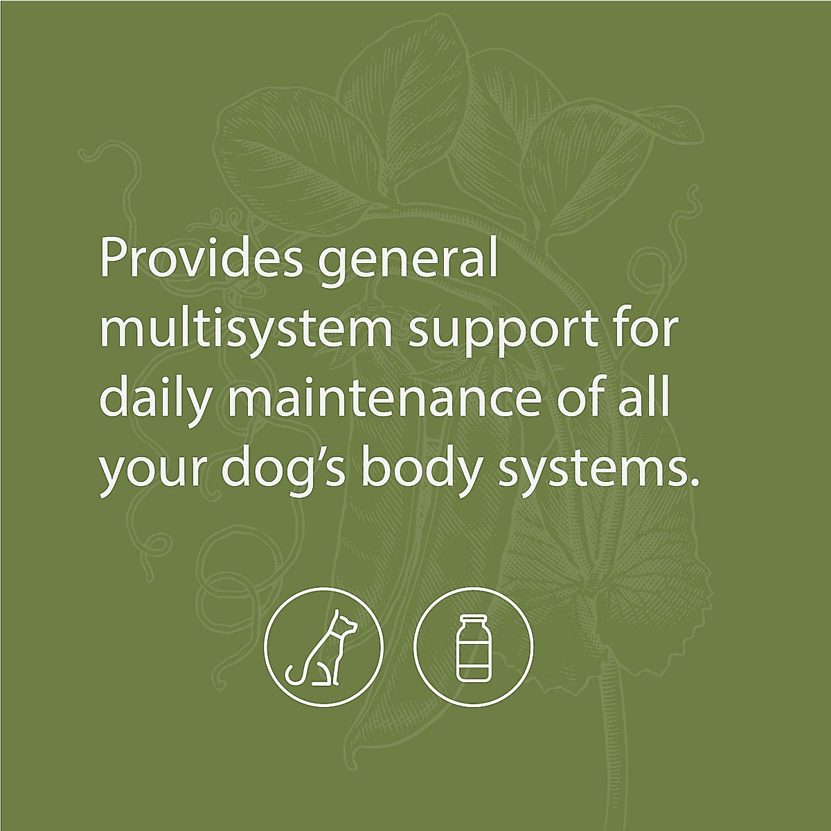 Standard Process Canine Whole Body Support - Multisystem Support Supplement for Canines - Nutritional Powder Supplement for Daily Health Maintenance - Multisystem Supplement Formula - 100 g