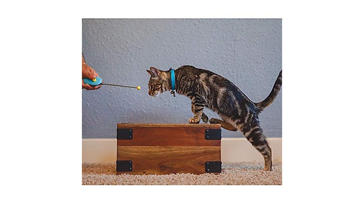 CAT SCHOOL Clicker Training Kit for Cats - Train with Ease