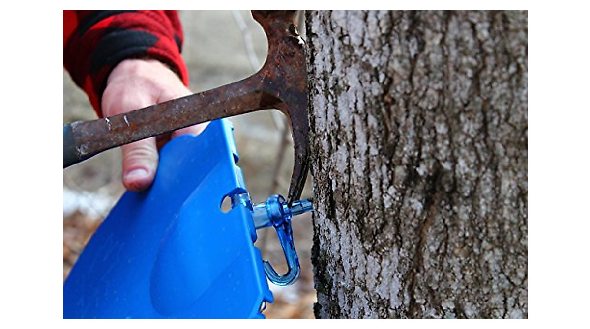 Maple Syrup Tapping Kit - Create Your Own Syrup Today