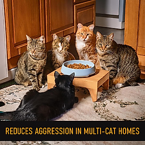 Cat Melatonin Drops 60ml Salmon Flavor, Melatonin for Cats to Sleep, Cat Calming Treats, Cat Calming Products, Cat Sleep Aid, Cat Anxiety Relief, Cat Travel Anxiety Relief for Cats