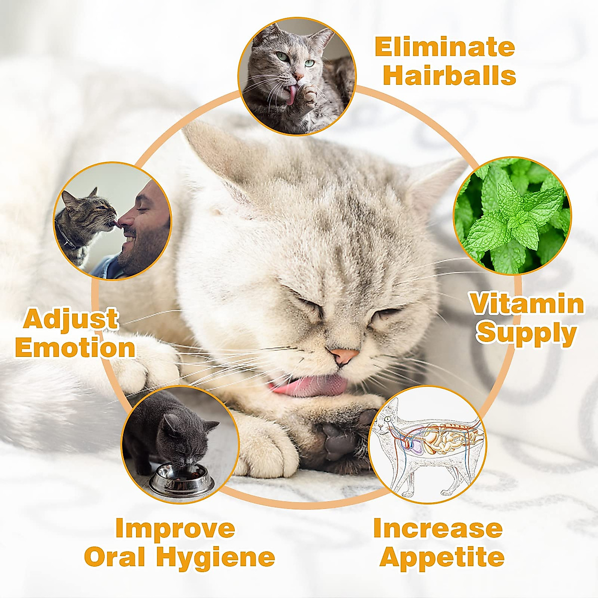 SINROBO Catnip Ball for Cats Wall, 4 Pack, Silvervine Balls, Edible Toys, Lick Safe Healthy Kitten Chew & Teeth Cleaning Dental Toys, Wall Treats (Grey)