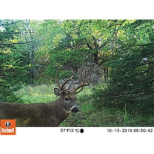 Bushnell Trophy Trail Camera 20MP - High-Resolution Images, Fast Trigger Speed, and Night Vision for Optimal Outdoor Photography
