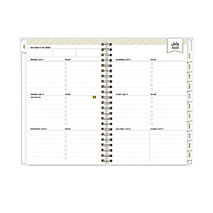 2023-2024 Day Designer Swiss Dot Blush Frosted Polypropylene Weekly/Monthly Academic Planning Calendar, 5" x 8", July 2023 to June 2024, 142497