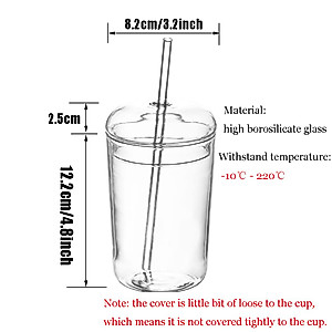 Milk Juice Water Cups, 450ml Transparent Glass Cups for Coffee Tea Drinks with Straw and Lid Glass Cover Glass Straw Drinking Cup Simple Design Coffee Juice Drinking Water Mug (1Pcs)