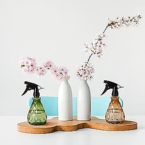 wugongshan 2 Pcs Spray Bottles, 500 ml/17 oz Empty Water Spray Bottles, Plastic Reusable Adjustable Mist Sprayer Squirt Bottles Containers Refillable for Cleaning Solutions, Gardening, Plants