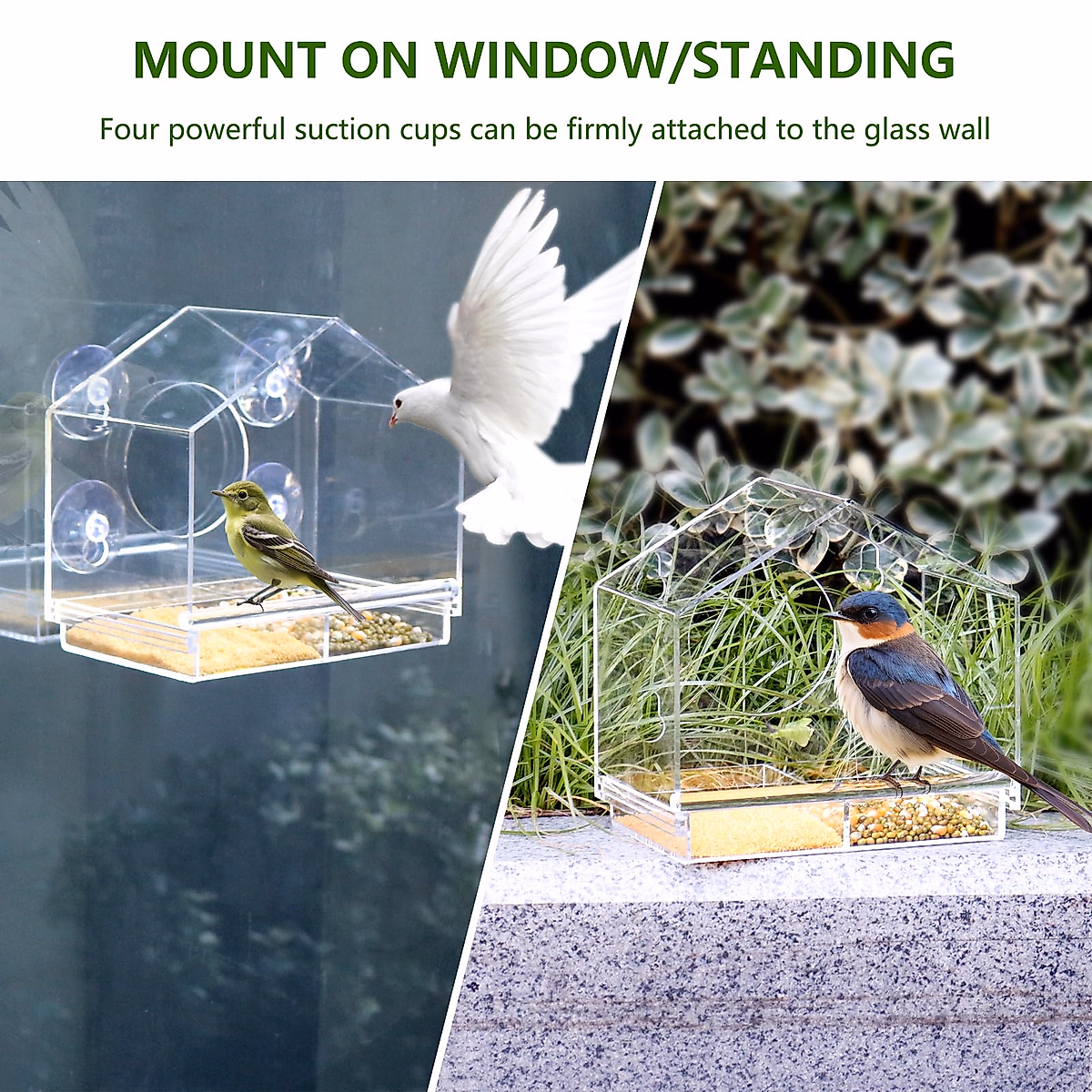 XTKS Bird Feeder, Hanging Bird Seed Feeder, Bird Feeding Station Outdoor Window Bird Feeder with Ultra-Strong Suction Cups - Perfect for Attracting Cardinals, Finches, Chickadees