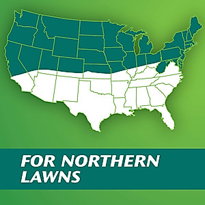 Scotts Turf Builder Grass Seed Dense Shade Mix, Grows With As Little As 3 Hours of Sunlight, 3 lbs.