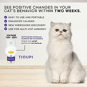 Cat Calming Pheromone Diffuser : Cat Calming Diffuser Advanced for Cat Anxiety Stress - Cat Pheromone Diffuser Reduce Cats Spraying, Fighting & Scratching Relaxuble Calming for All Of Cats 48ml x 2