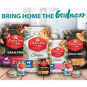 Chicken Soup for the Soul Pet Food Crunchy Bites Bacon & Cheese Biscuit Dog Treats 32oz