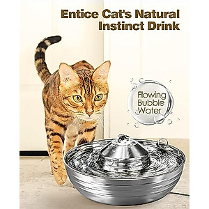 Cat Water Fountain All Stainless Steel,710z/2.1L Large Capacity,Round Design,Quiet Design,Visible Water Level,360° Automatic Cat Water Dispenser Easy Assemble and Clean,Supply Water Even Power Off