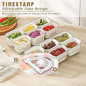 Dualshine Divided Serving Tray with Lid, Fruit Storage Containers for Fridge, Snack Box, Portable Food Storage Containers with 6 Compartments Keep Fruits, Snacks, Vegetables and Spices Fresh Longer