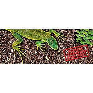 Exo Terra Jungle Earth, Tropical Terrarium Substrate, 24 Quarts, PT2764