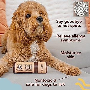 Natural Dog Company Skin Soother, 2 oz. Stick, Allergy and Itch Relief for Dogs, Dog Moisturizer for Dry Skin, Dog Lotion, Ultimate Healing Balm, Dog Rash Cream