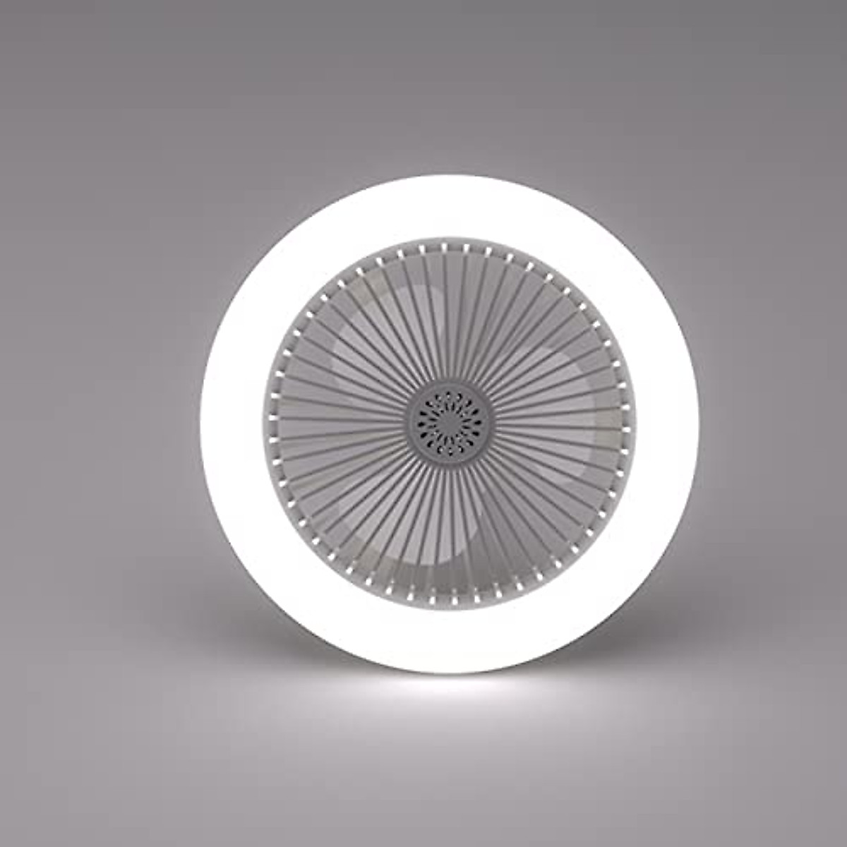 E27 Fan Light, Ceiling Fan with Lights, Enclosed Low Profile Fan Lights LED Dimmable with Light Kit Lamp, Modern Indoor Flush Mount Ceiling Fan for Living Room Bedroom, E27 Socket Easy to Install #B