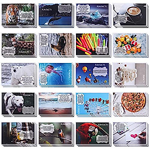 Zonon 60 Pieces Fun Facts Seasonal Landscapes Postcard Assorted Animal Fruits Scenic Spots Theme Postcards Funny Postcards for Kid Teacher, 4 x 6 Inches (Fun Facts)