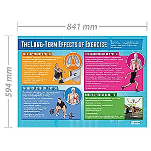 Daydream Education The Long-Term Effects of Exercise | PE Posters | Gloss Paper measuring 33” x 23.5” | Physical Education Charts for the Classroom | Education Charts