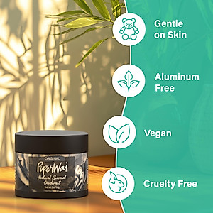 PiperWai Natural Deodorant w/Activated Charcoal | Odor Protection, Vegan, Aluminum Free, Shark Tank Product for Women & Men | Great for Travel, & Gifts | 50g Scented Single Jar