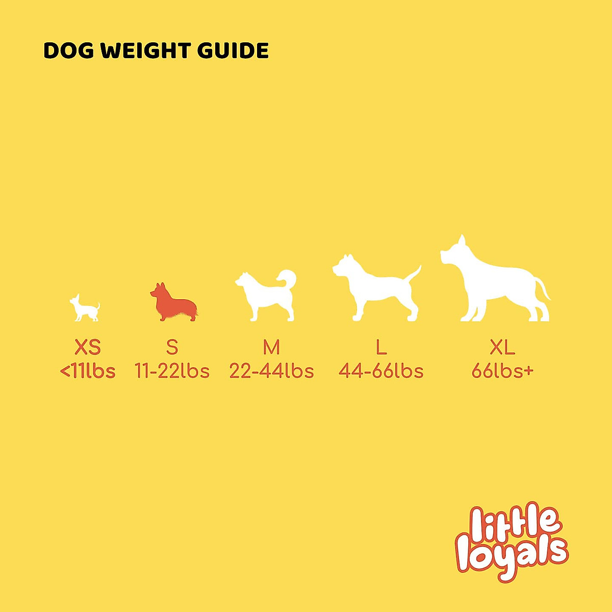 Little Loyals Himalayan Recipe Cheese Dog Chews - 100% Natural, Long-Lasting Treats for Aggressive Chewers, Puppies & Bored Dogs | Odorless, Protein-Rich, Gluten & Lactose-Free | Small