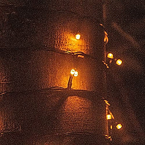 Vanthylit Halloween Decorations, 81.7Ft 200LT Halloween String Lights with Music Sync Spooky Sounds Lighted Halloween Fairy Lights for Indoor and Outdoor Patio Lawn Garden (Orange)