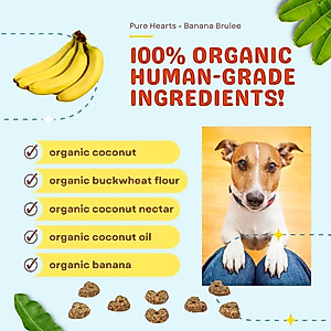 CocoTherapy 3 Pack of Banana Brulee Pure Hearts Coconut Cookies, 5 Ounces Each, Organic Dog Treats Made in The USA