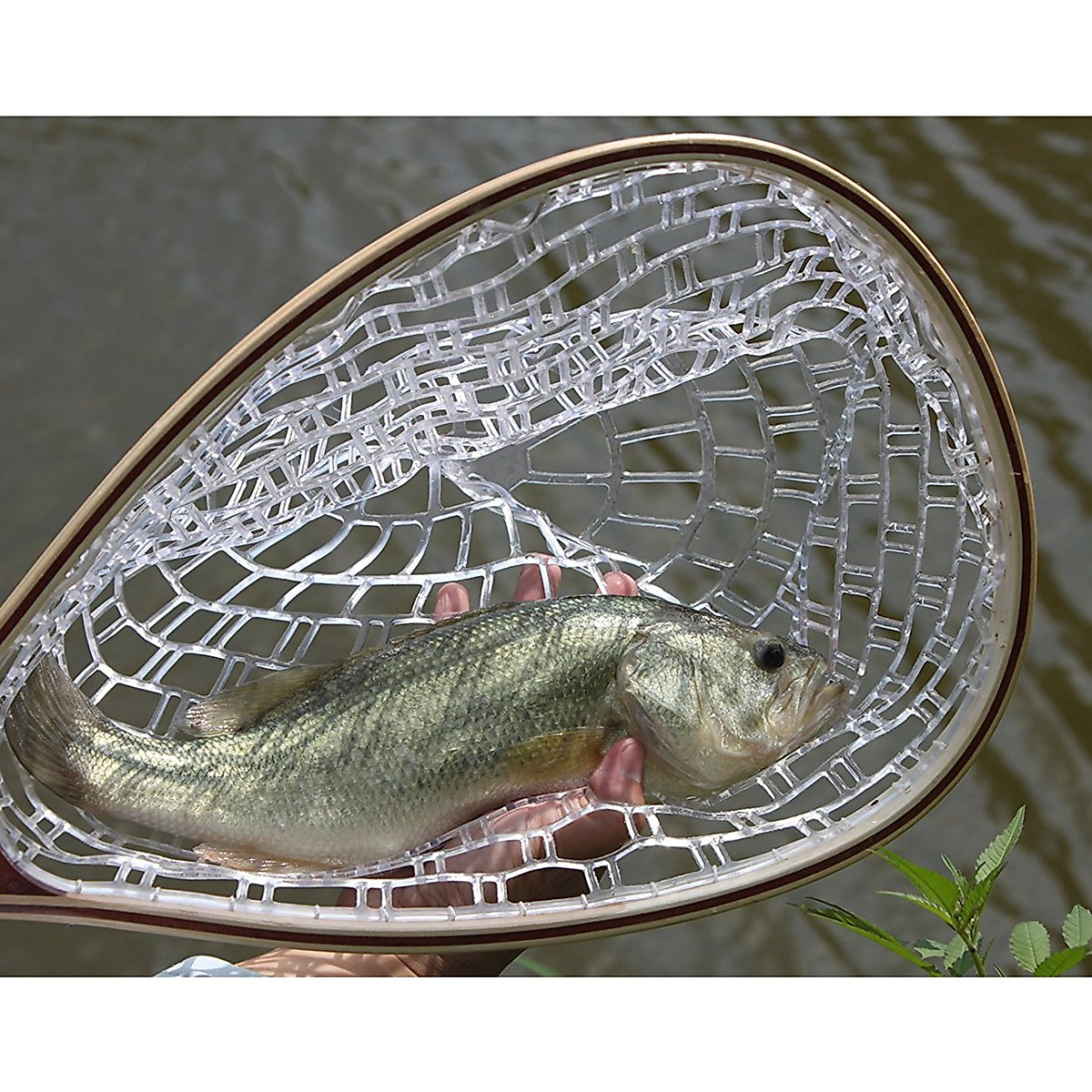 Fashionwu Fly Fishing Landing Net Trout Fishing Net, Soft Rubber Catch and Release Fish Net with Wooden Handle Frame, Gifts for Him