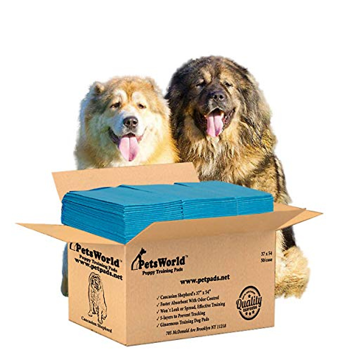 PETSWORLD Enormous Dog Training/Potty Pads (37x54 inch), XXXL Enormous, Tear Resistant, Extremely Strong Leak-Proof Backing