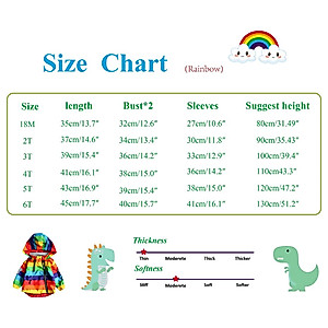 FABRST Toddler Boys Girls Windbreak Kids Fashion Rainbow Hooded Sun Jacket Baby Casual Outwear Fall Winter School Outfits（Rainbow,2T）