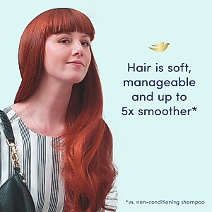 Dove Shampoo & Conditioner Daily Moisture 20.4 oz