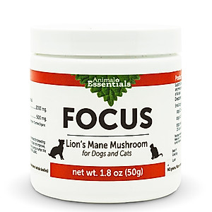 Animal Essentials Focus Lions Mane Mushroom Supplement for Dogs & Cats - Supports Brain Health, Cognitive Function, Healthy Immune Response, Mushroom Powder Extract - 1.8 Oz (Pack of 1)